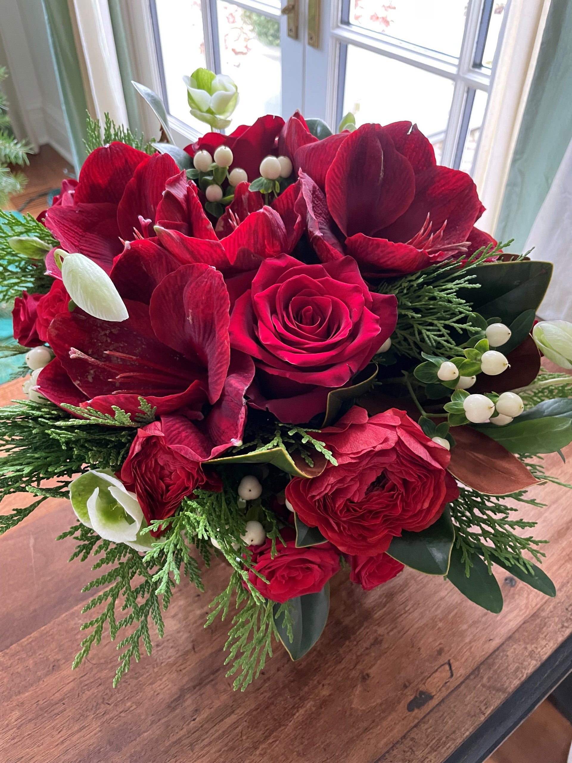 Christmas Splendor – Greenwich Orchids