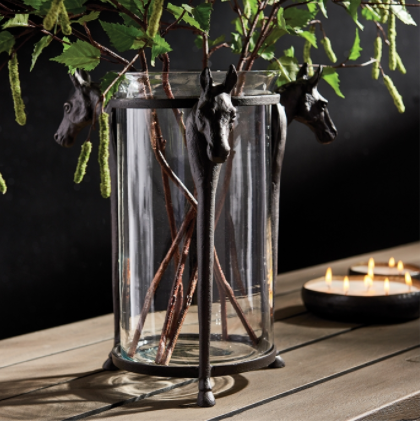 EQUAS HURRICANE – Greenwich Orchids