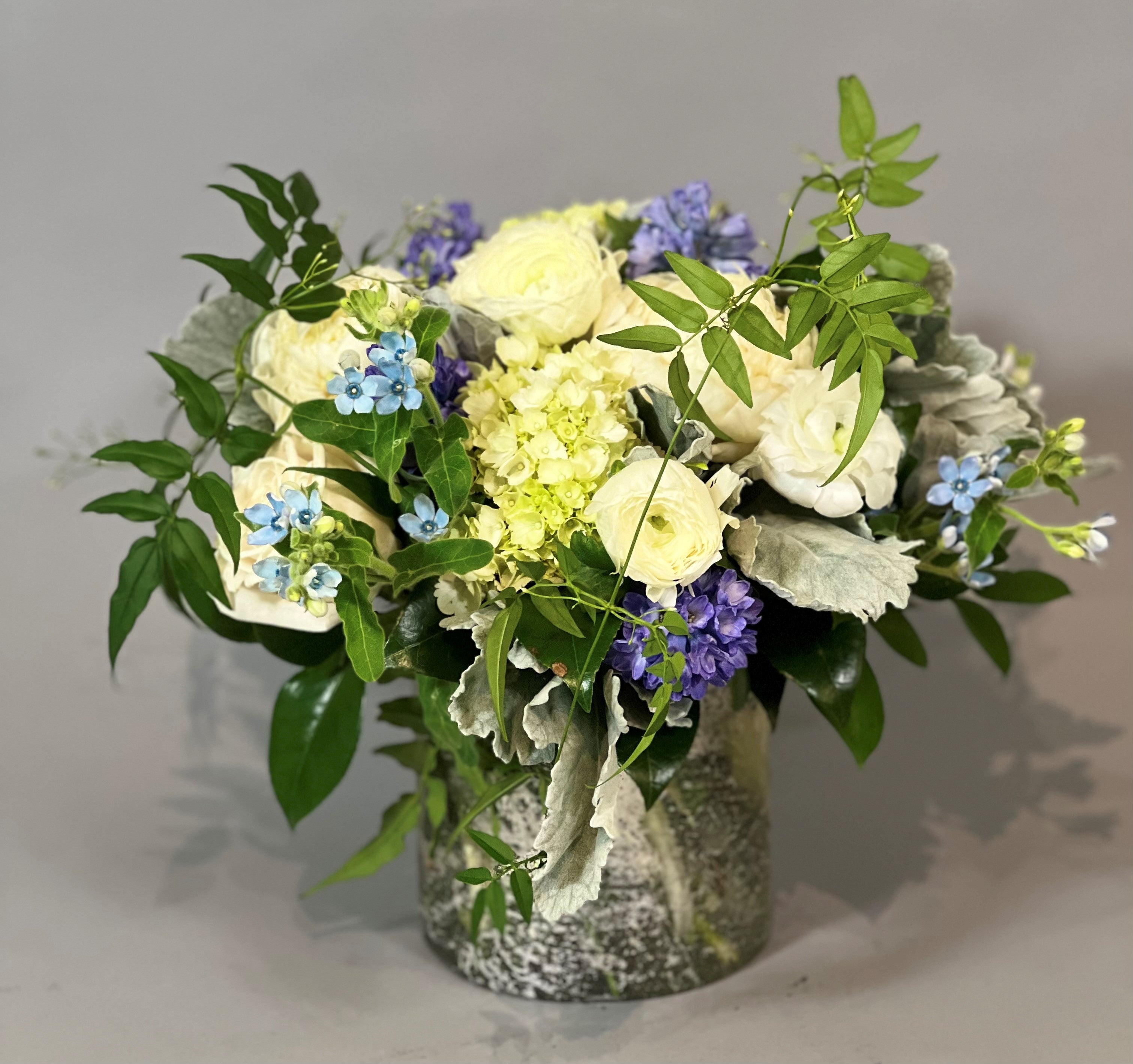 Blue Ice – Greenwich Orchids