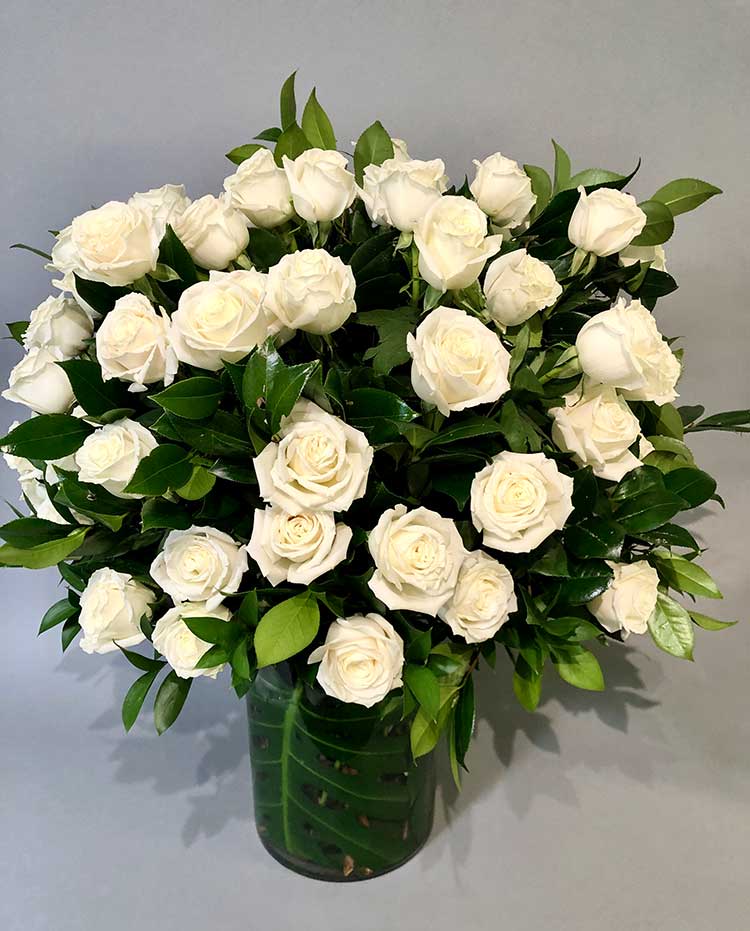 Elegant Roses – Greenwich Orchids